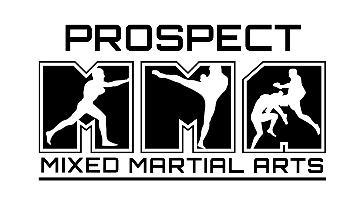 MMA Bolton Mixed Martial Arts (MMA) Personal Training Sessions ...